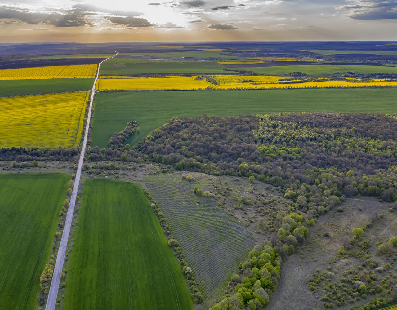 enVisionArchitecture – Vision+Architecture Studio